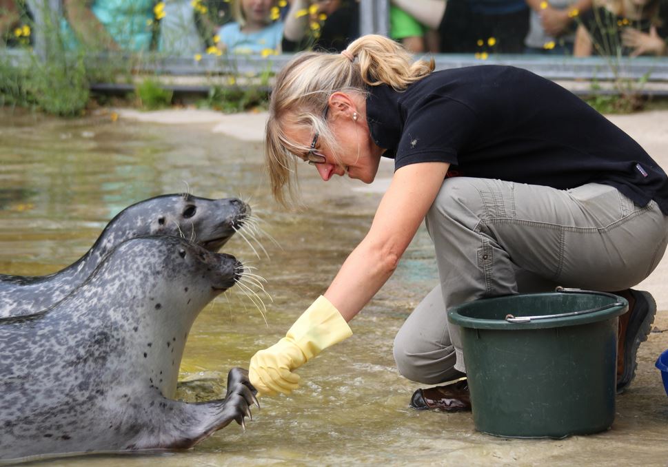 Zoo Osnabrück - FreizeitparkDeals